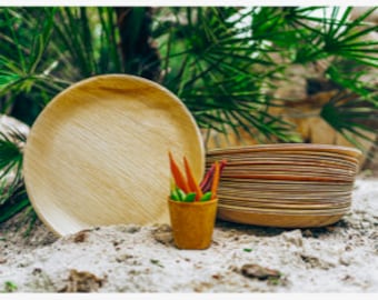 Biodegradable Party Plates - Etsy