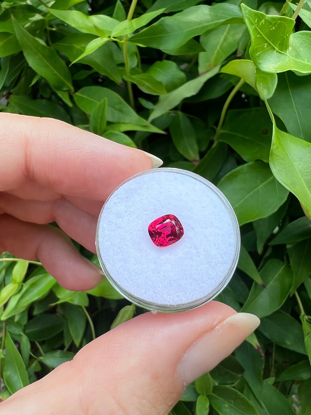 Natural Burmese Red Spinel Cushion Cut 1.25 Carat GIA Certified - Etsy
