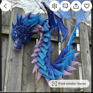 UITC “S” Shaped Board . Uitc Half Oval Boards, Dragon Boards, Half ...