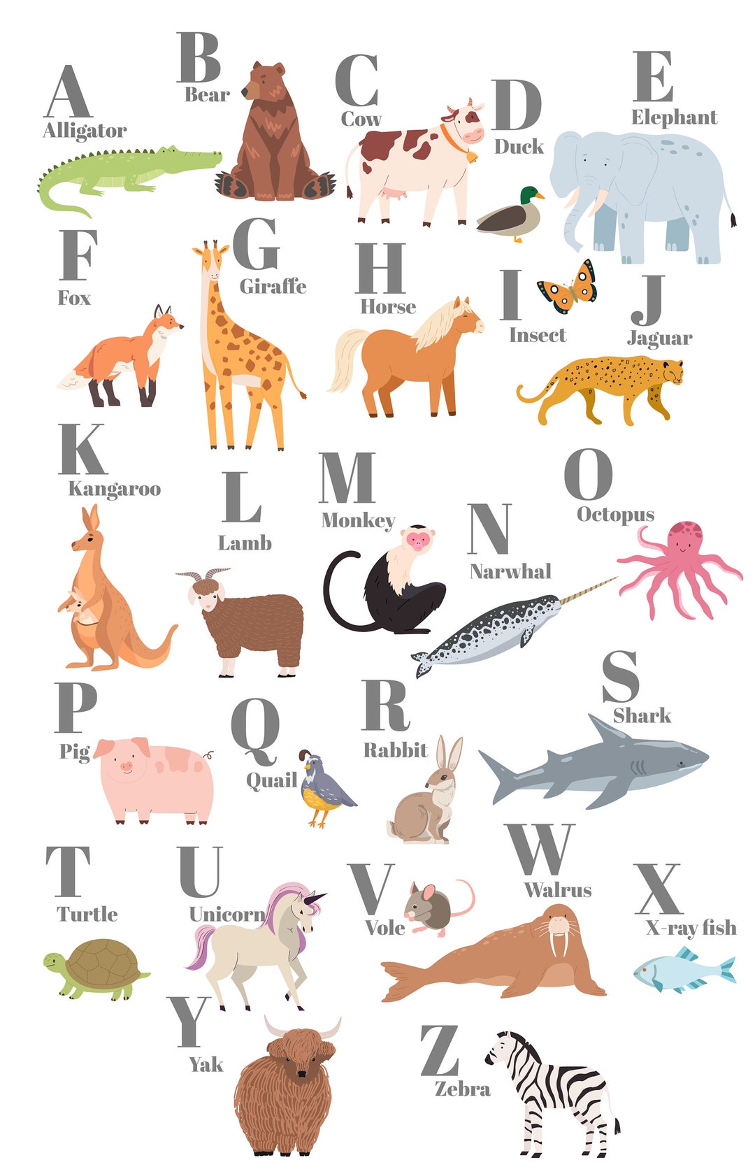 A to Z Animal Poster - Etsy
