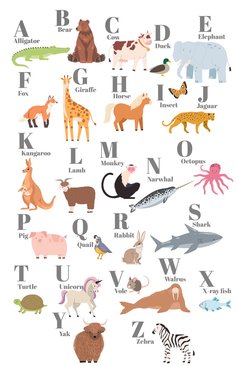 A to Z Animal Poster - Etsy