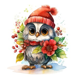 16 JPG Christmas Owl, Watercolour Christmas Clipart, Watercolor Bird ...
