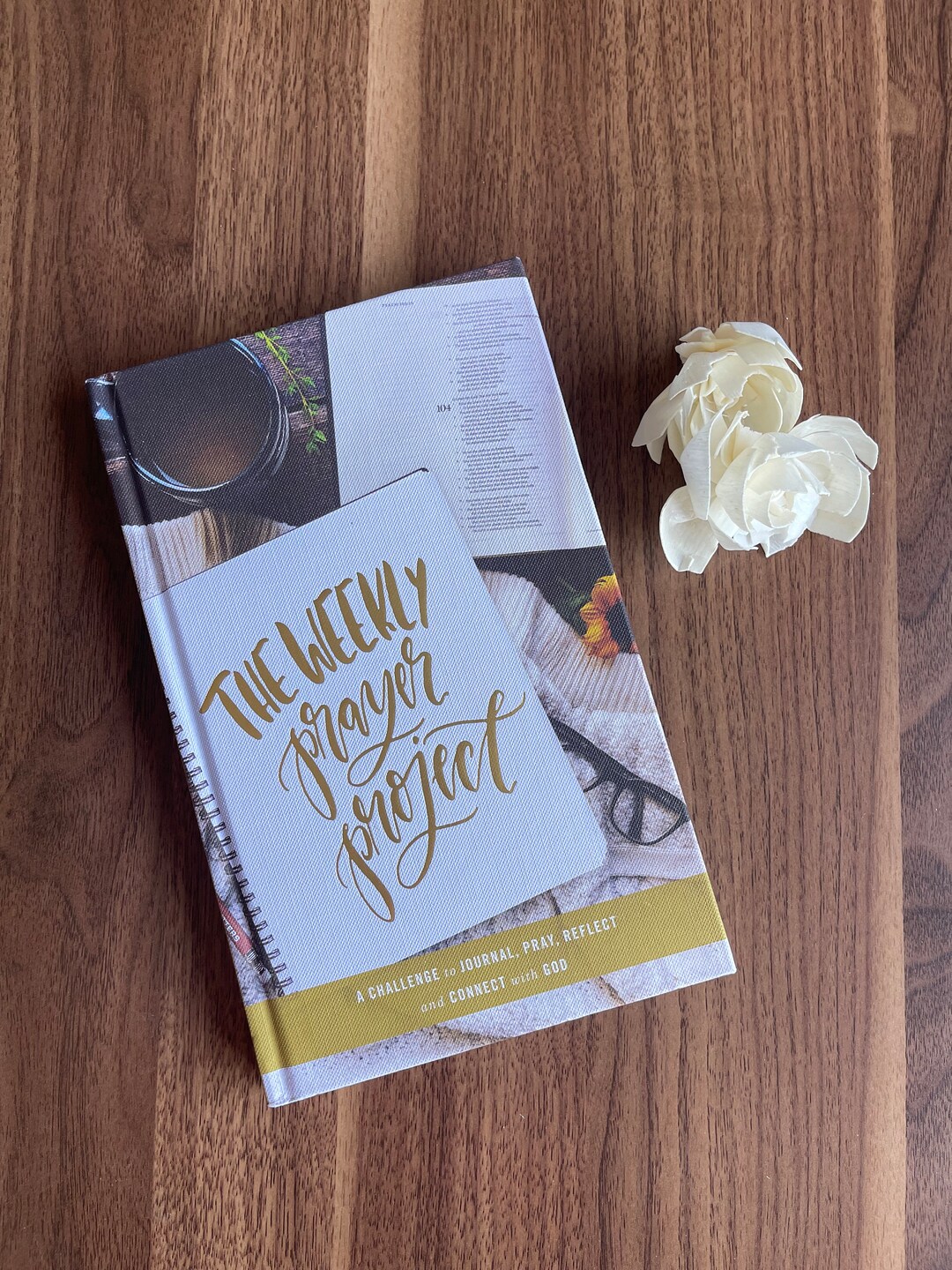 The Weekly Prayer Project: A Challenge to Journal, Pray, Reflect, and ...