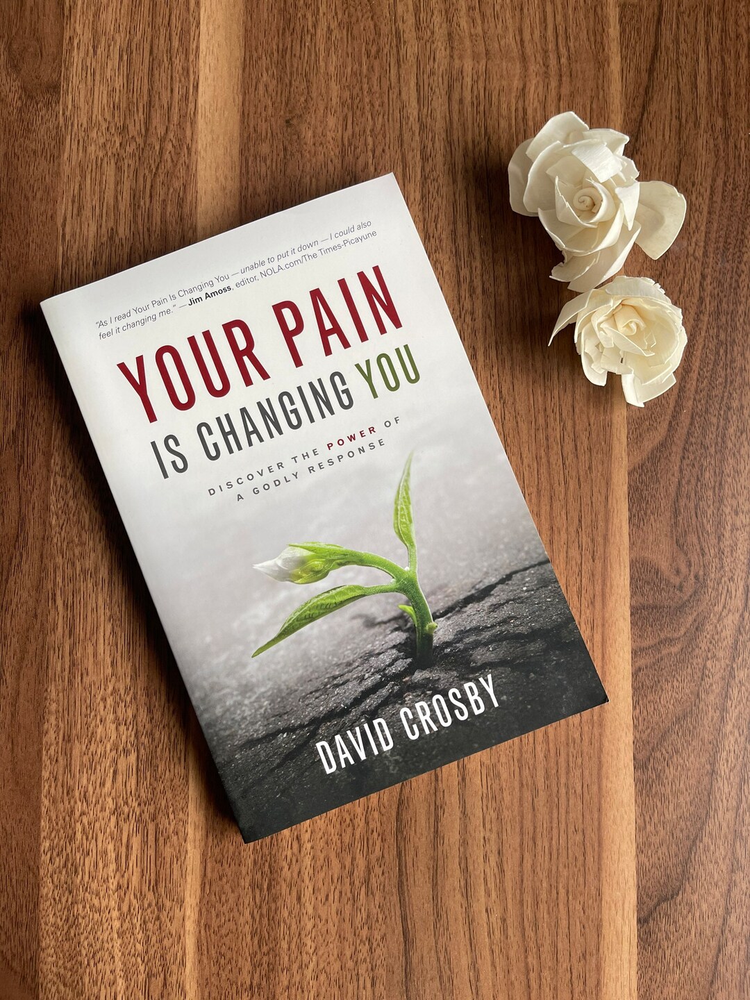 Your Pain is Changing You: Discover the Power of a Godly Response - Etsy