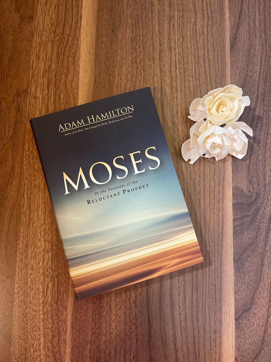 Moses in the Footsteps of the Reluctant Prophet by Adam Hamilton ...