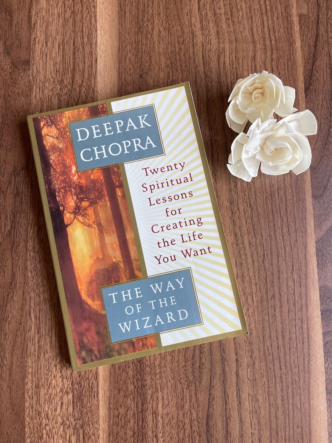 The Way of the Wizard: Twenty Spiritual Lessons for Creating the Life ...