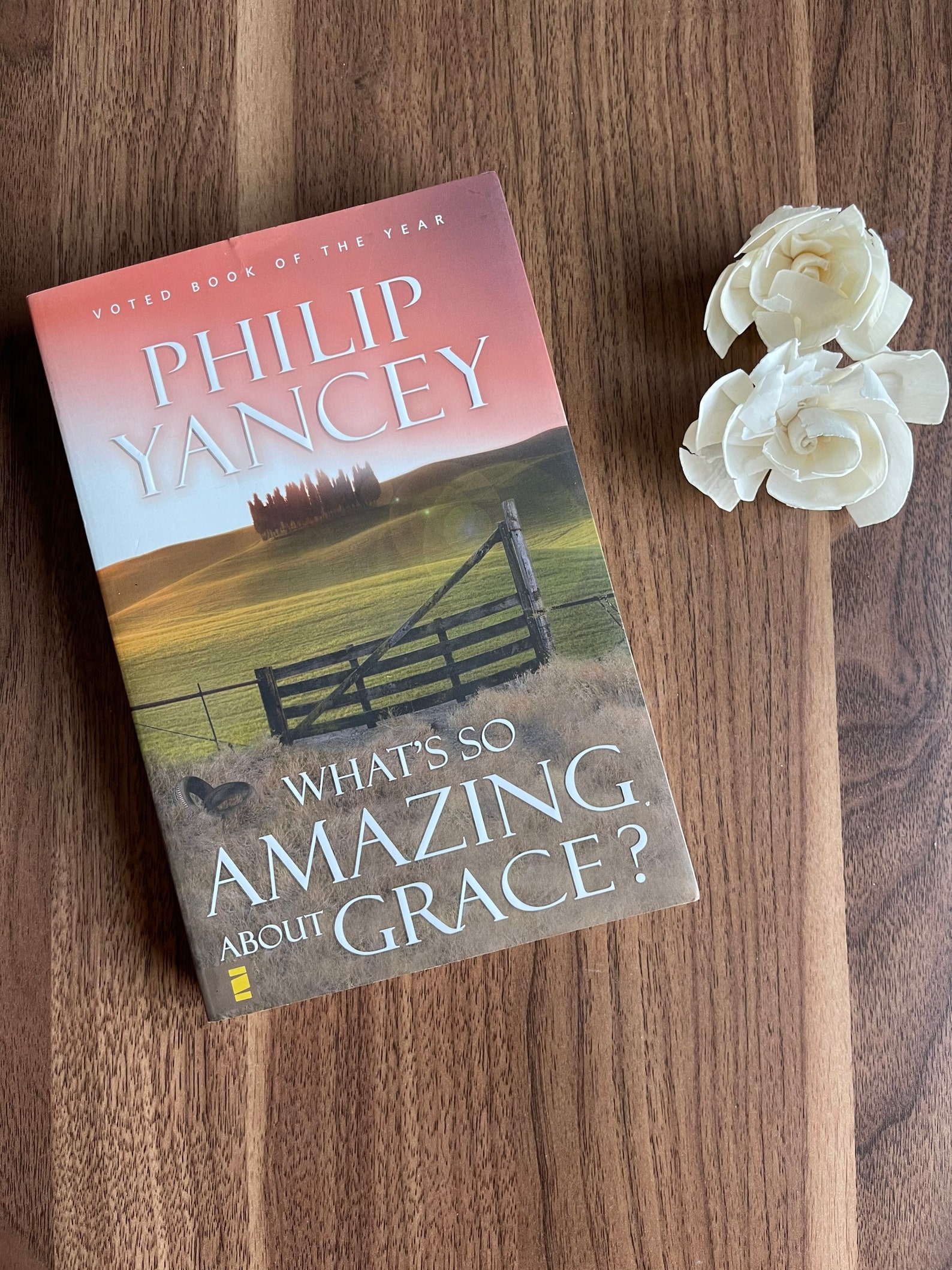 What is so Amazing About Grace by the Author Philip Yancey. - Etsy