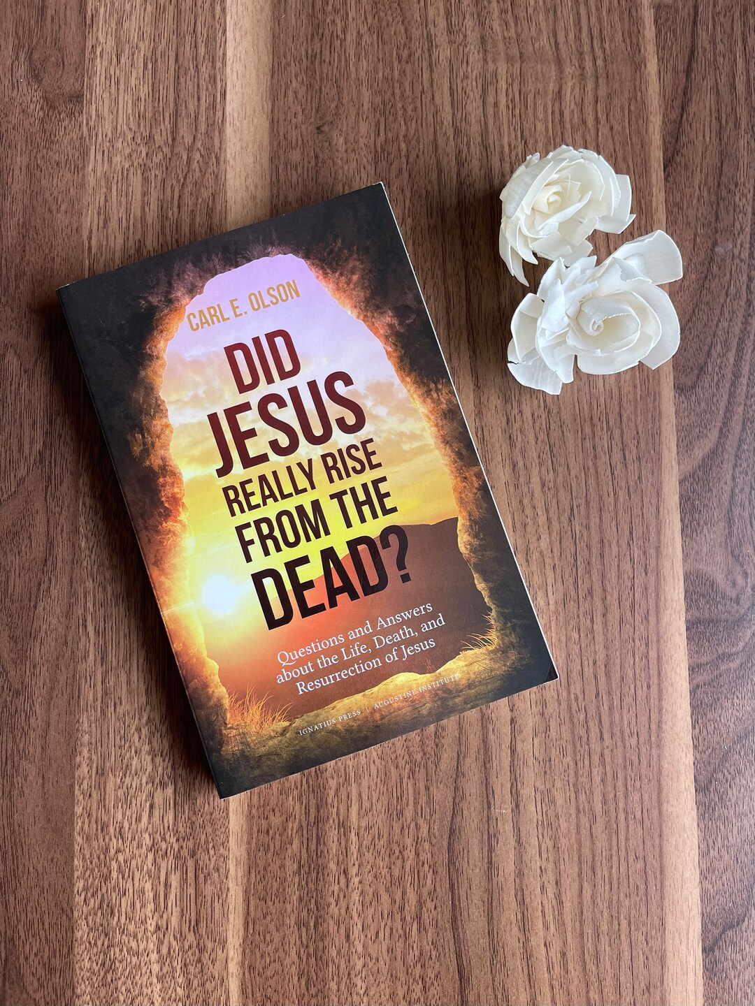 Did Jesus Really Rise From the Dead by Carl E Olson. Christian Book. - Etsy
