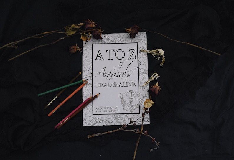 A to Z of Animals Dead & Alive Colouring Book Physical Book - Etsy Israel