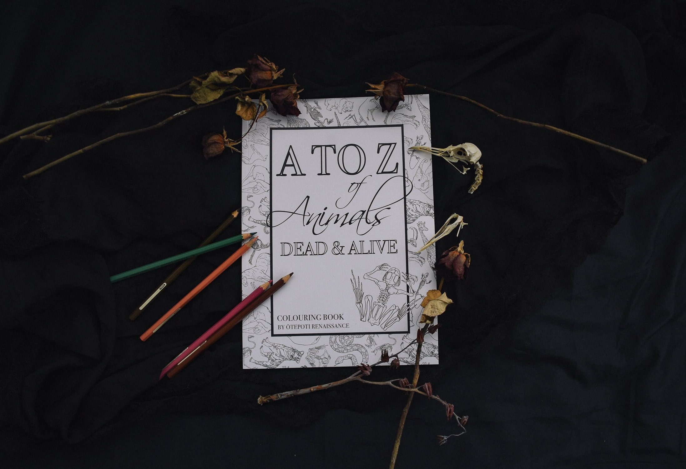 A to Z of Animals Dead & Alive Colouring Book - Physical Book - Etsy