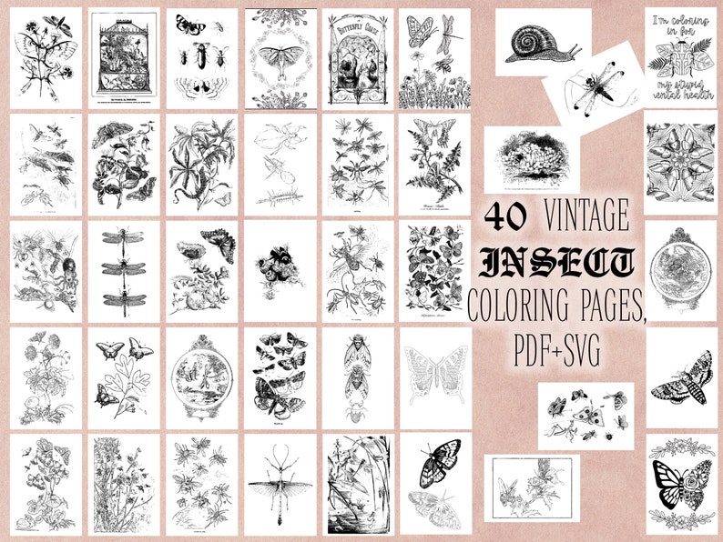 Insect & Butterfly Coloring Pages Botanical Vintage - Etsy