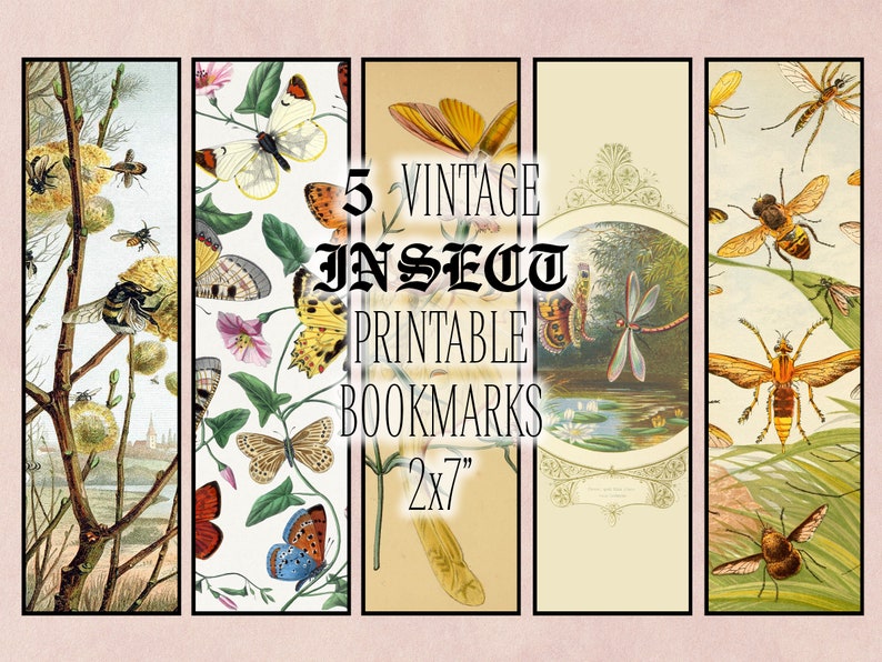 Insect & Butterfly Coloring Pages Botanical Vintage - Etsy