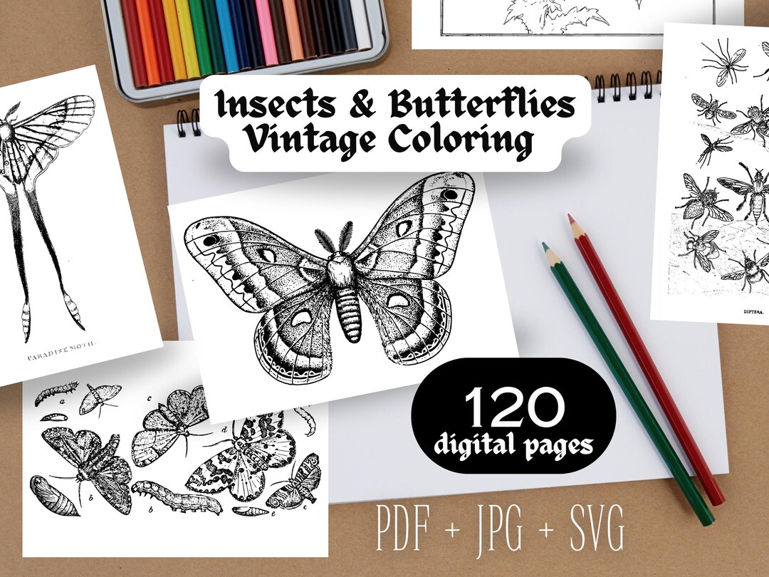 Insect & Butterfly Coloring Pages Botanical Vintage Illustrations ...