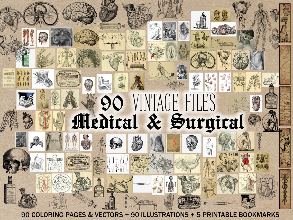 Vintage Medical Anatomy Illustration R18 Adult Coloring Page - Etsy