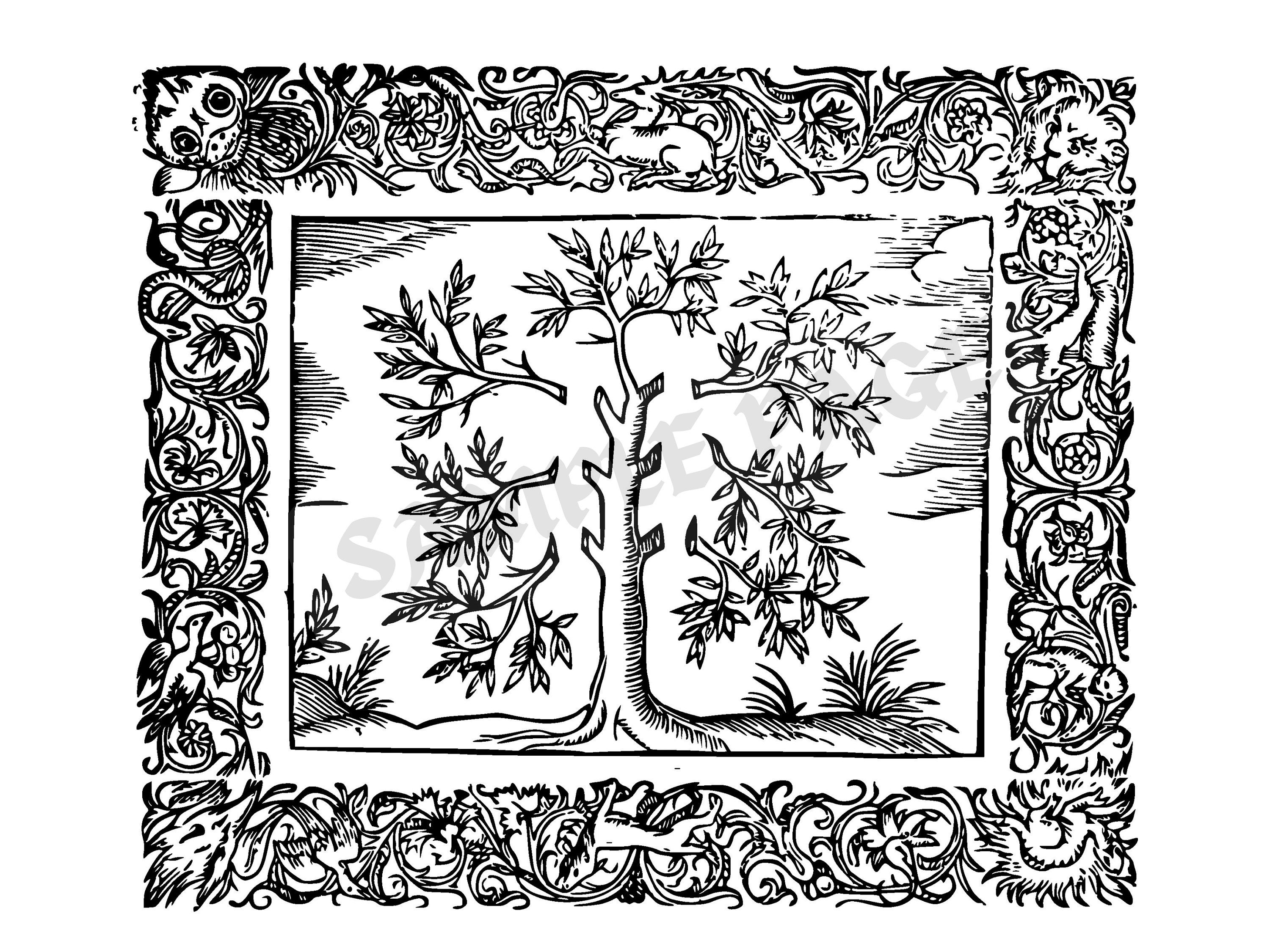 Coloring Pages From Minerva Britanna 1612 Seamless Repeating Digital ...