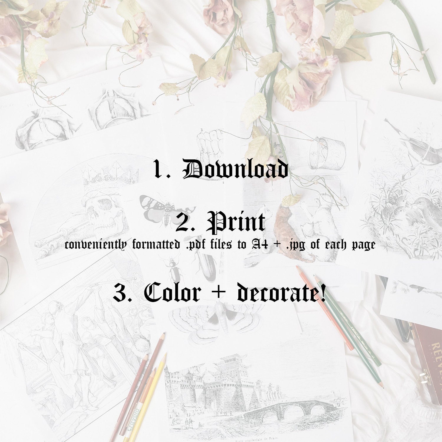 Bizarre Absurd Vintage Coloring Pages - Weird Wall Art Print Victorian ...