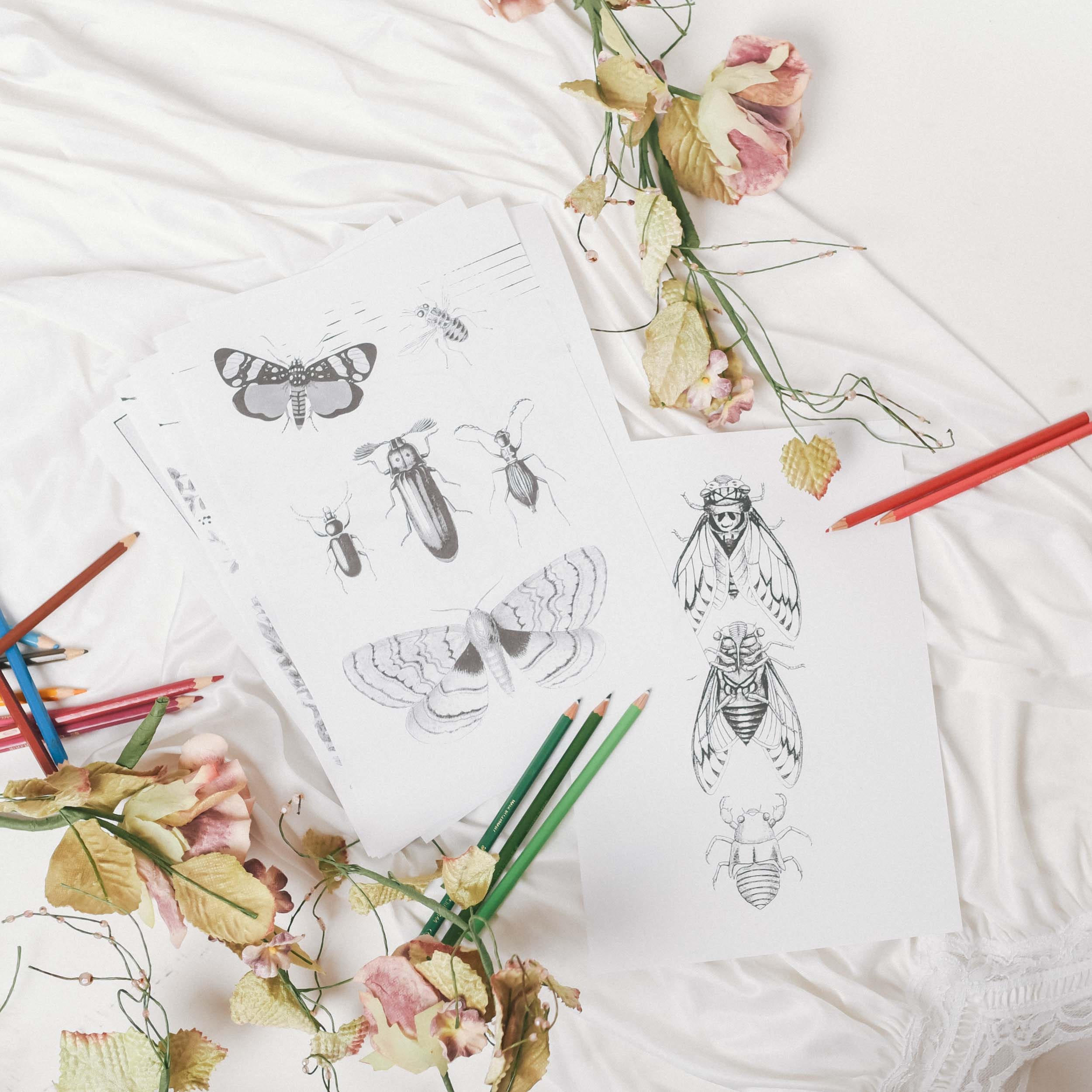 Insect & Butterfly Coloring Pages Botanical Vintage Illustrations ...