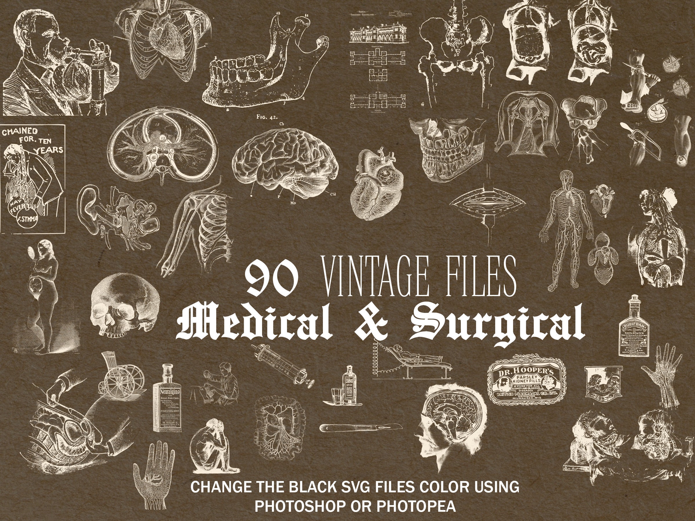 Vintage Medical Anatomy Illustration R18 Adult Coloring Page - Etsy