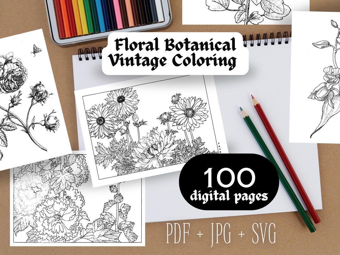 Floral Botanical Illustration Digital Bookmark Coloring Pages ...