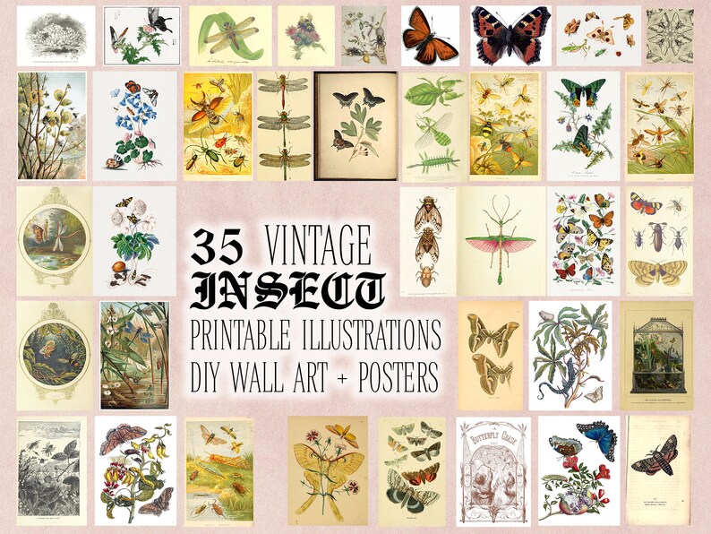 Insect & Butterfly Coloring Pages Botanical Vintage - Etsy