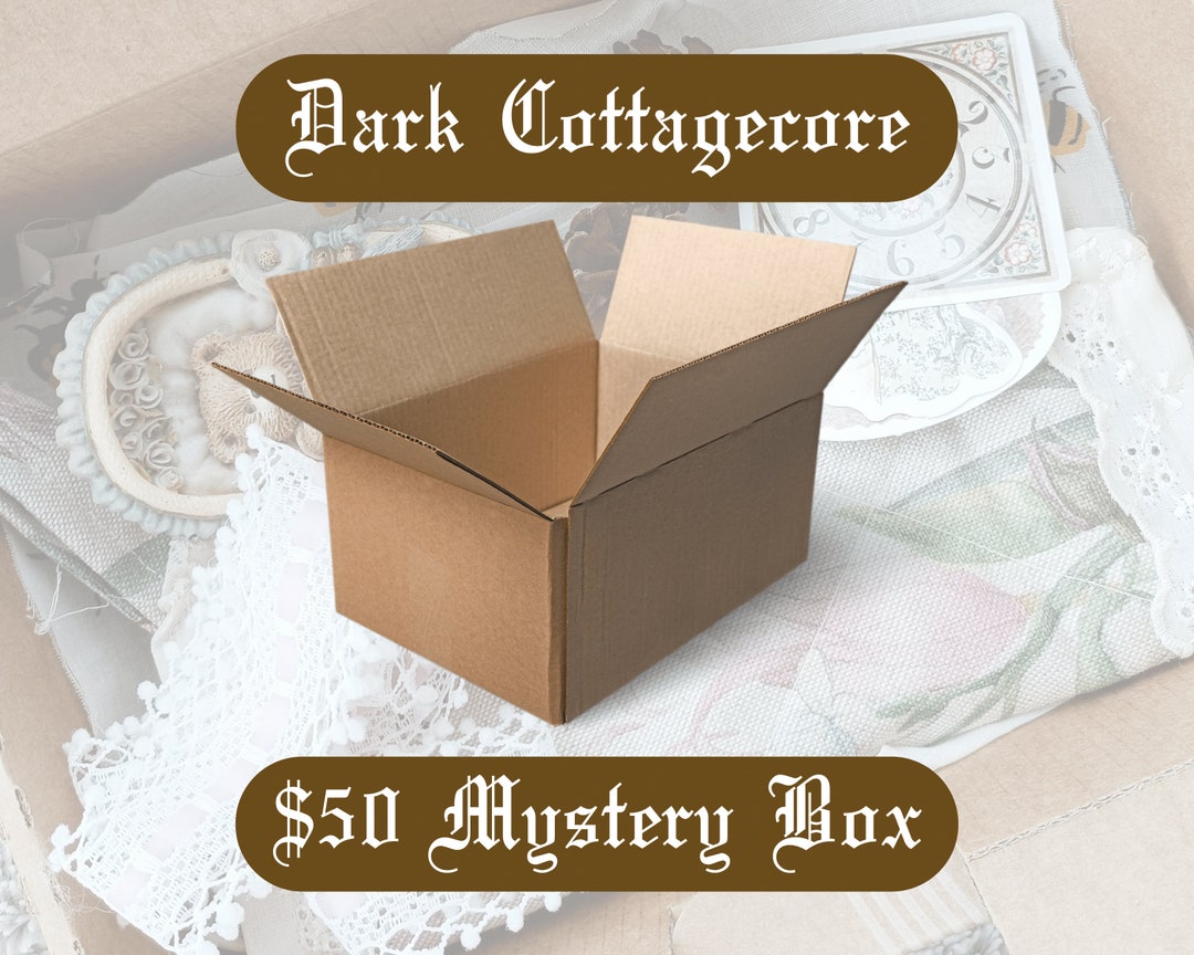 Dark Cottagecore Mystery Box Small Oddity Home Decor Collectible Thrift ...