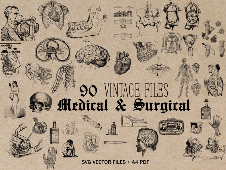 Vintage Medical Anatomy Illustration R18 Adult Coloring Page - Etsy