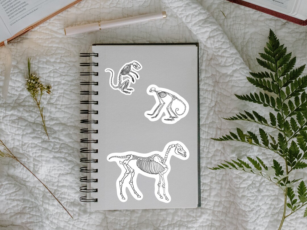 Animal Skeleton Cutout Sticker Pack - Glossy or Matte - Natural History ...