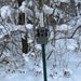 T Post Trail Camera Mount - Etsy