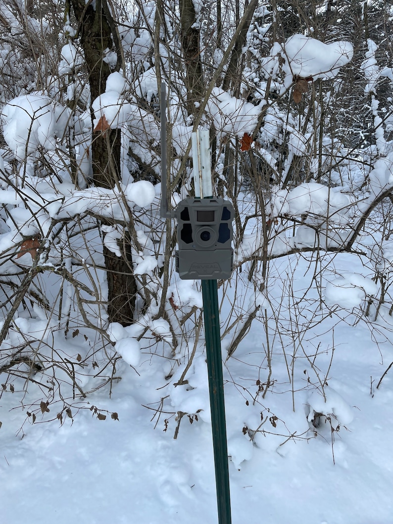 T Post Trail Camera Mount - Etsy