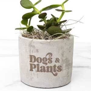 Mini Desk Plant With Planter Gift Idea for Dog Mom and House Plant ...