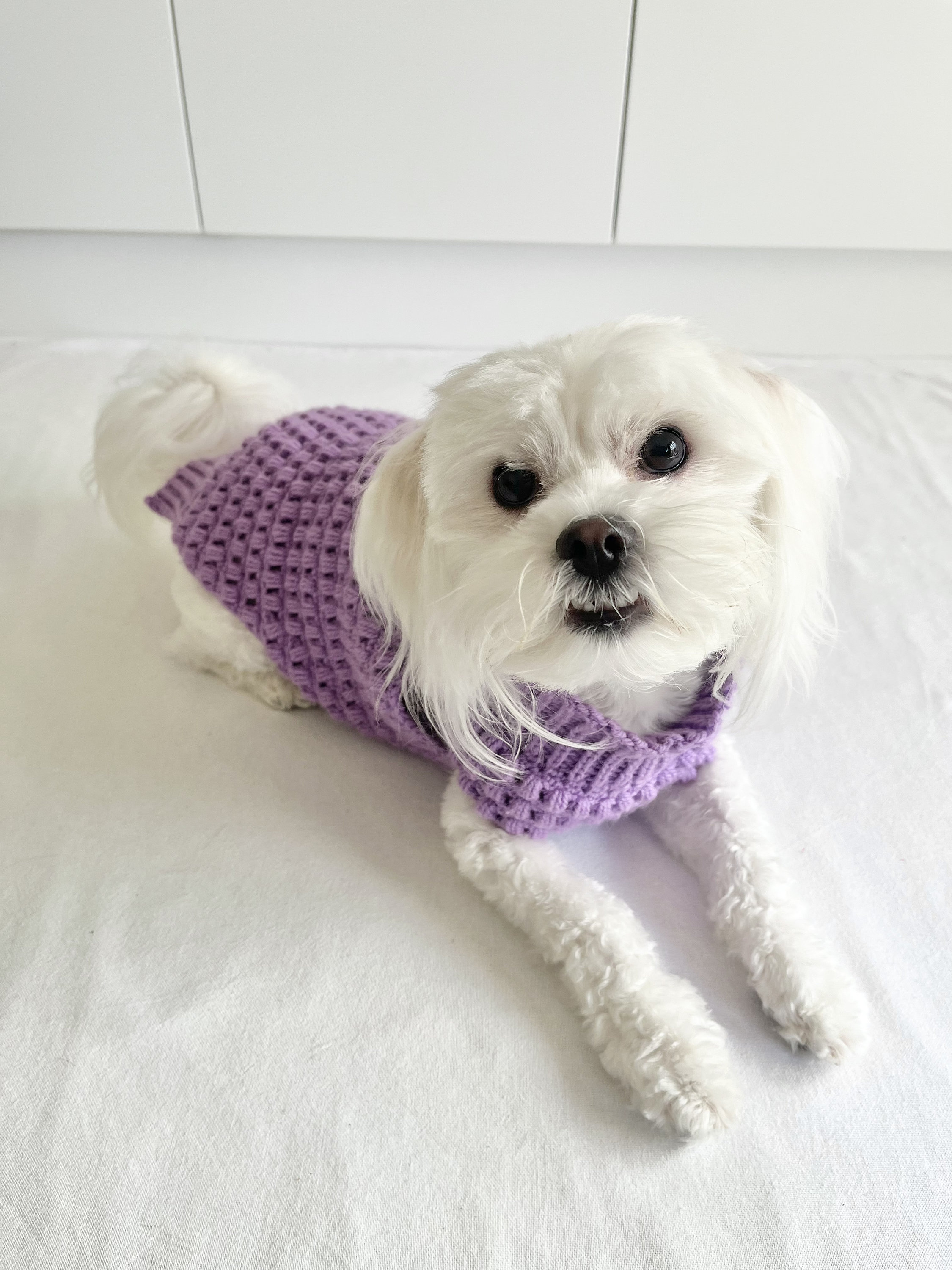 CROCHET PATTERN Lottie and Lulus Puff Stitch Jumper Crochet - Etsy ...