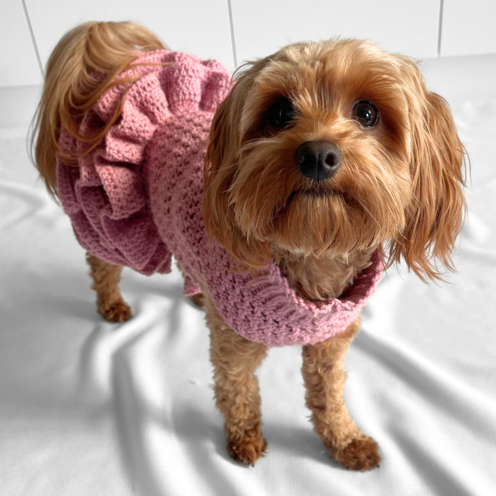 CROCHET PATTERN, Crochet Dog Jumper, Pet Tutu, Crochet Dog Sweater ...