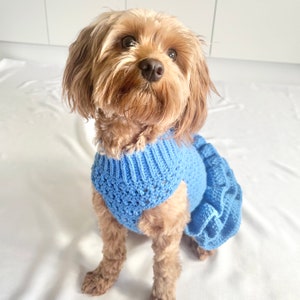 CROCHET PATTERN Crochet Dog Jumper Pet Tutu Crochet Dog - Etsy
