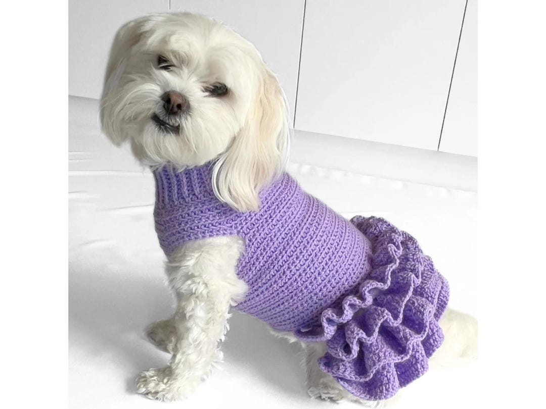 CROCHET PATTERN, Lottie and Lulu’s Crochet Dog Dress, Crochet Dog ...