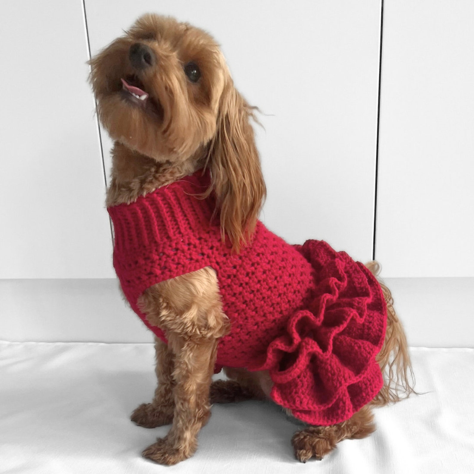 CROCHET PATTERN, Crochet Dog Jumper, Pet Tutu, Crochet Dog Sweater ...
