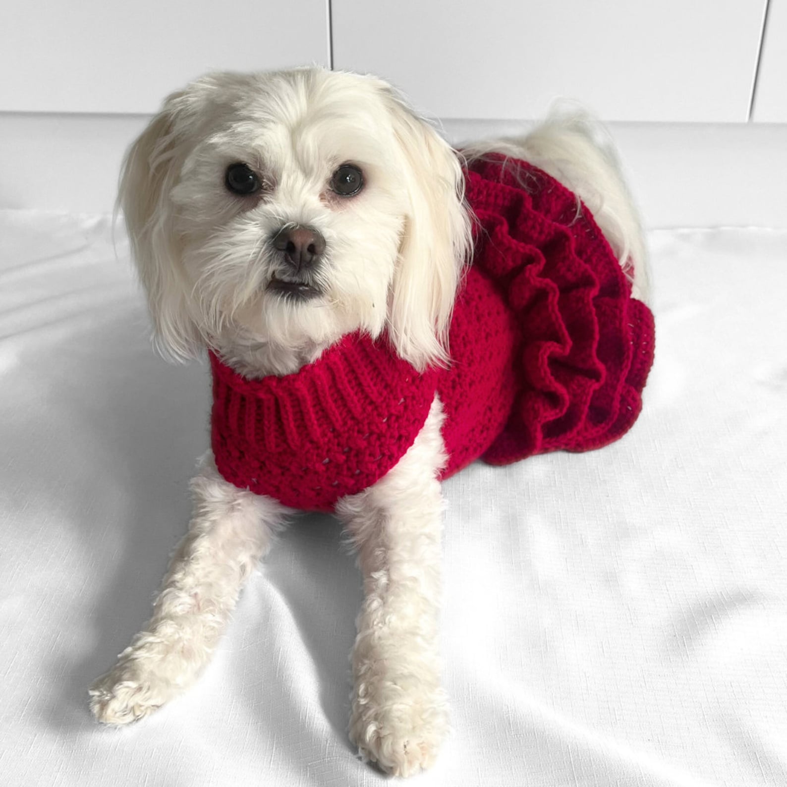 CROCHET PATTERN, Crochet Dog Jumper, Pet Tutu, Crochet Dog Sweater ...