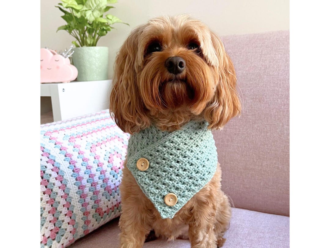 Crochet Pattern, Lottie and Lulu’s Cross Double Crochet Pet Scarf ...