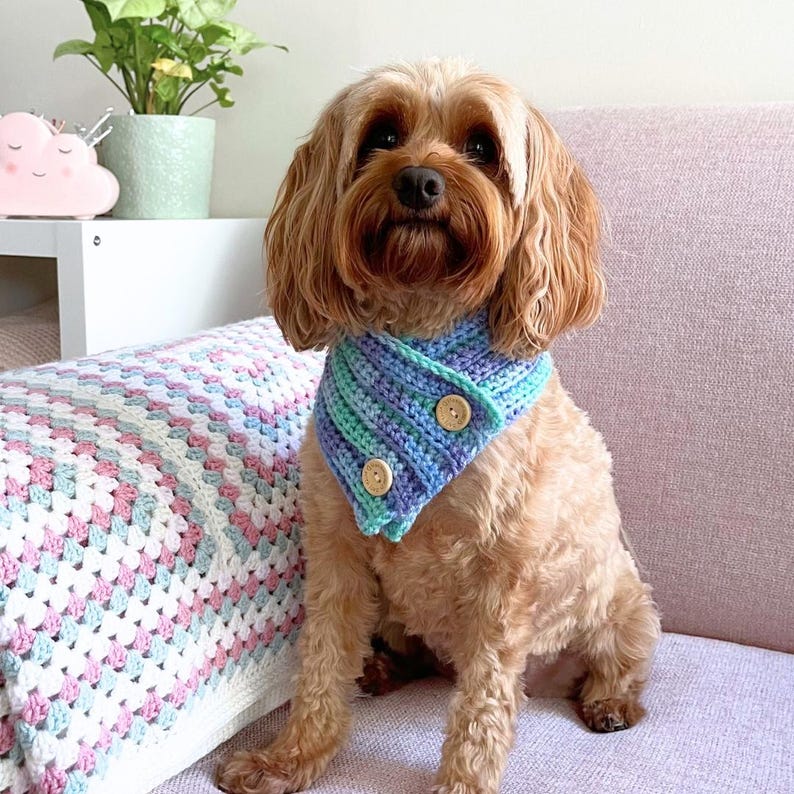 Crochet Pattern, Lottie and Lulu’s Crochet Pet Scarf, Crochet Dog Scarf ...