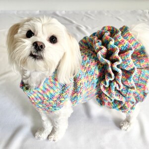 CROCHET PATTERN Crochet Dog Jumper Pet Tutu Crochet Dog - Etsy
