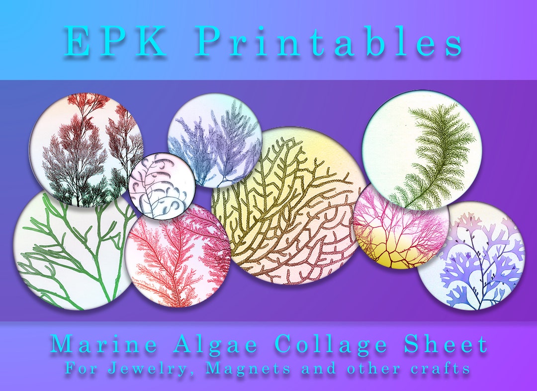 Marine Algae Collage Sheet - Etsy