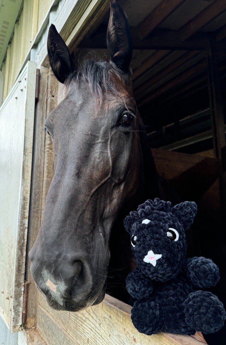 Custom Crochet Horse - Etsy