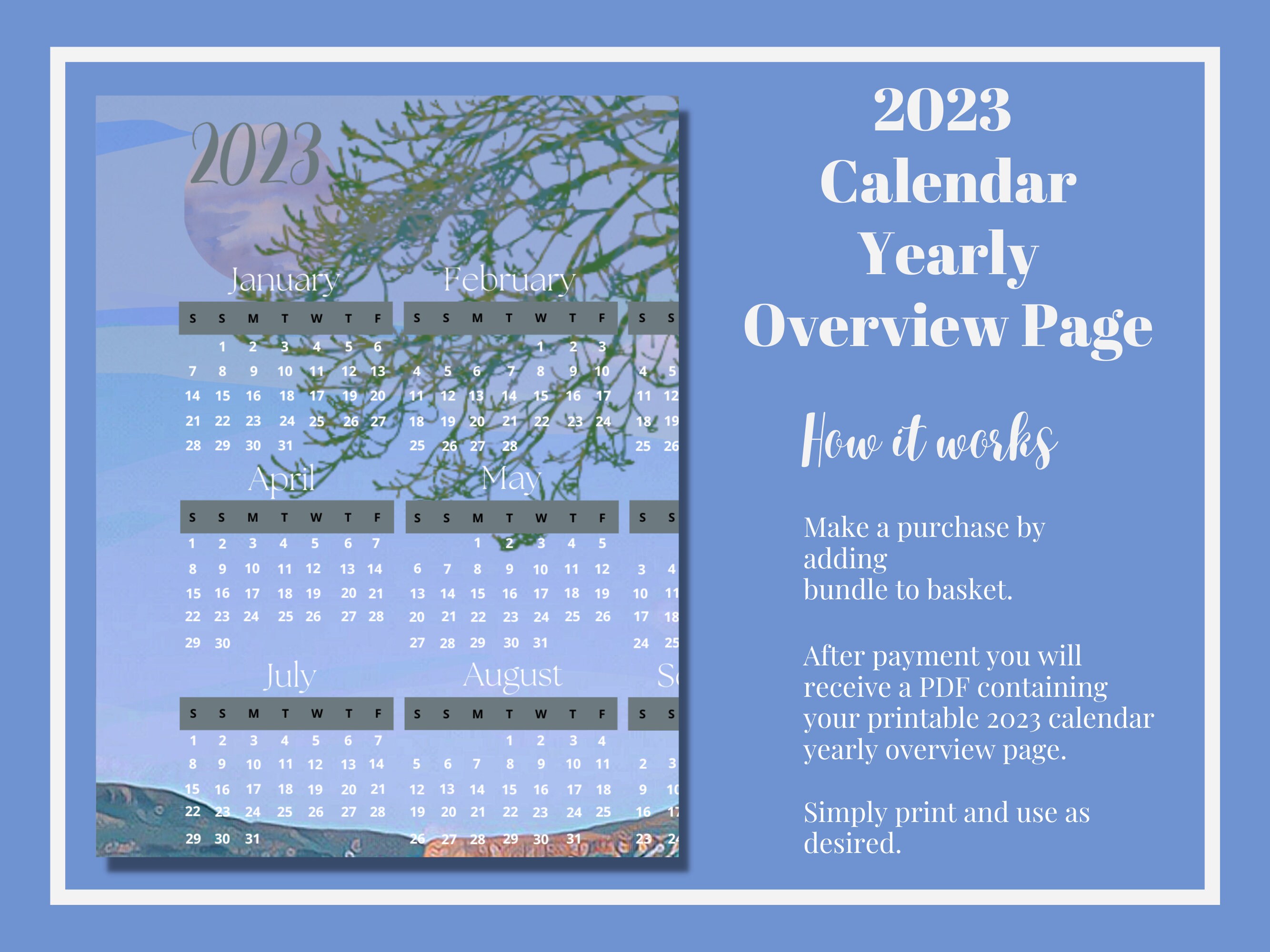 2023 Calendar Yearly Overview Page Saturday Start Printable - Etsy