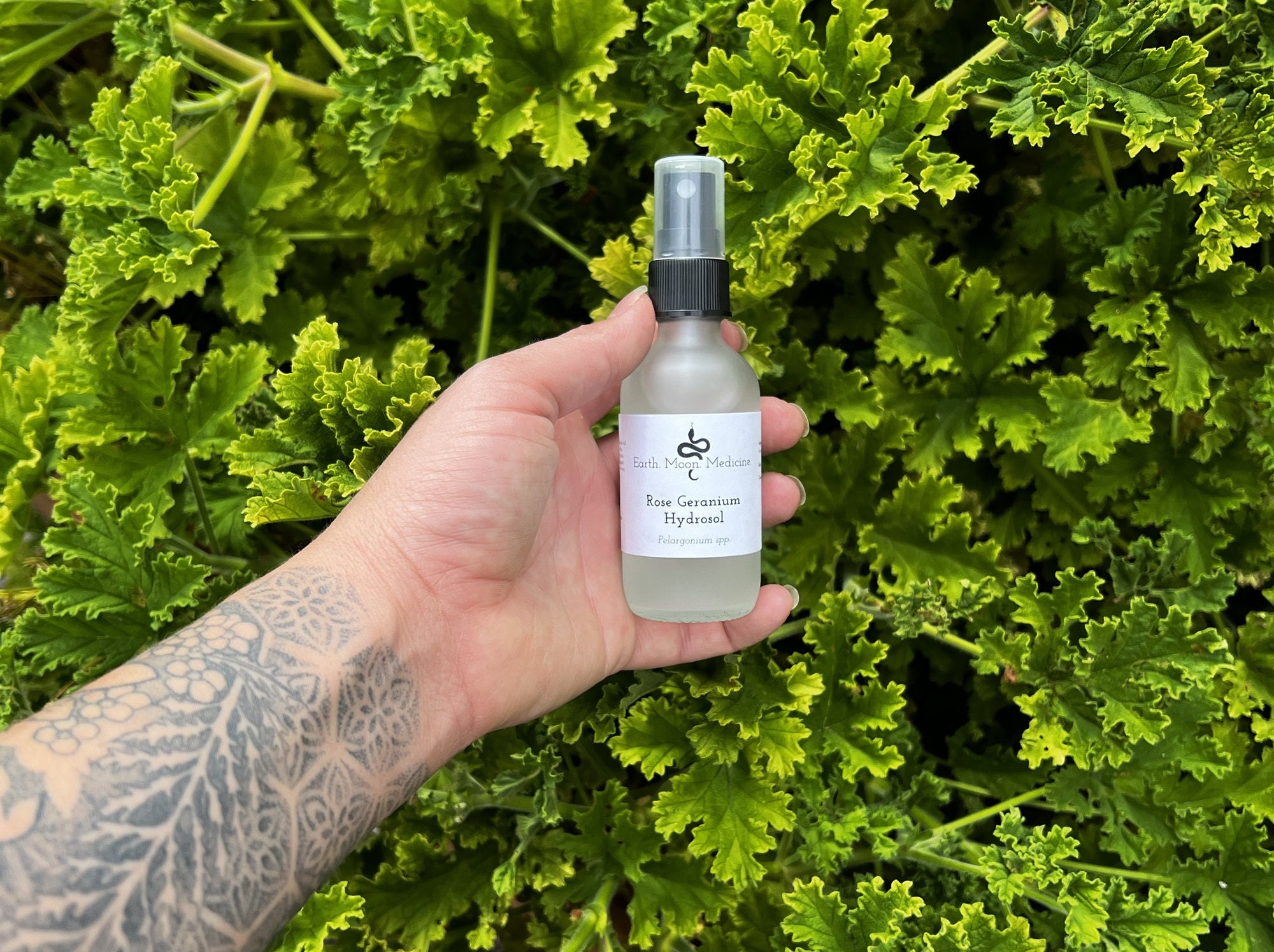 Rose Geranium Hydrosol - Etsy