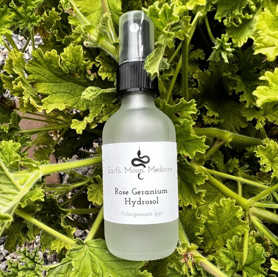 Rose Geranium Hydrosol - Etsy