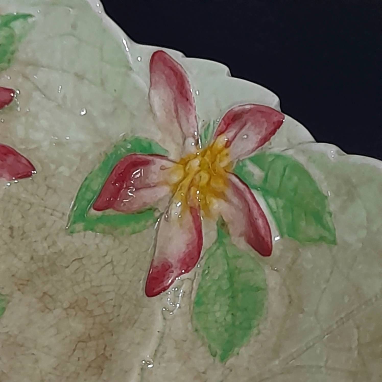 Vintage Carlton Ware Hand Painted Australian Design the Apple - Etsy Australia