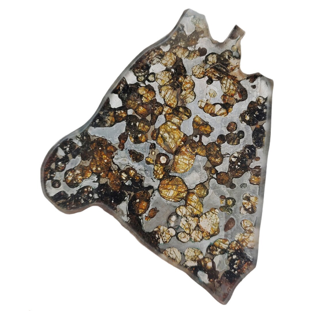 96.5g Brenham Pallasite Meteorite Slices Olive Meteorite Specimens Ta51 ...