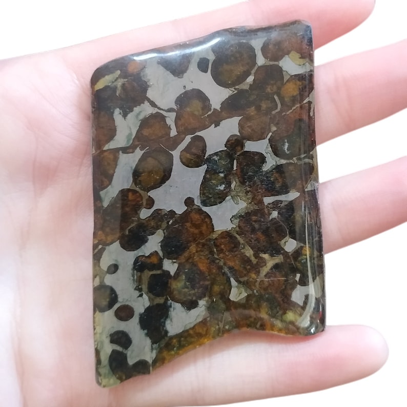 Serico Pallasite Meteorite Slices Natural Meteorite Material - Etsy