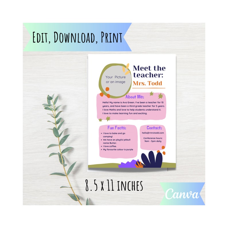 Editable Meet the Teacher Letter. Teacher Introduction Letter, New ...