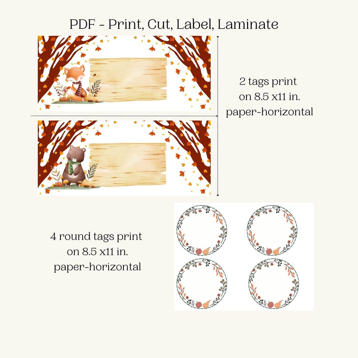 Editable Woodland Animal Classroom Name Tags, Cubby Tags for Preschool ...