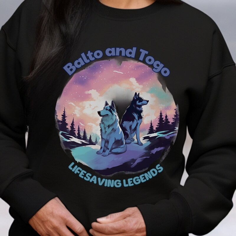 Balto Shirt - Etsy